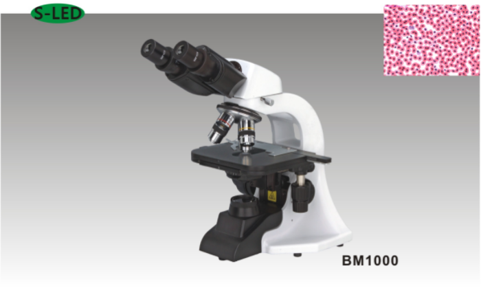 BIOLOGICAL MICROSCOPE-ALLTION-Doctors care about patients'health ...
